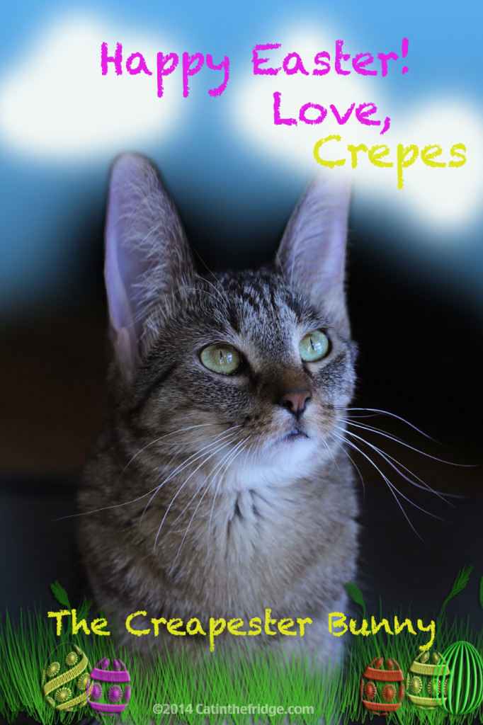 Happy Easter! – Cat In The Fridge