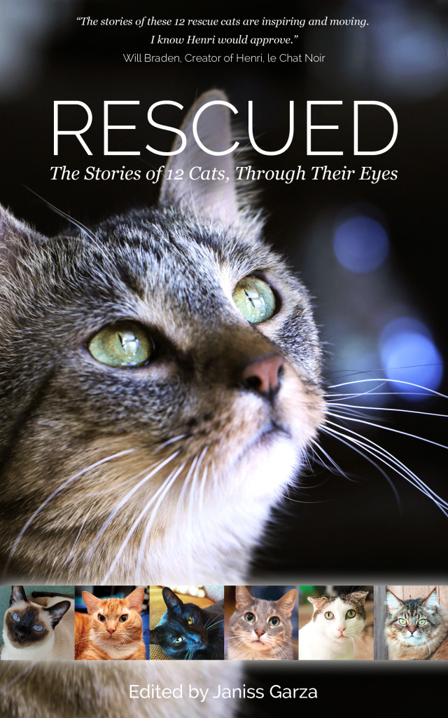 Rescued: Book Release And Crepes Cover Girl – Cat In The Fridge